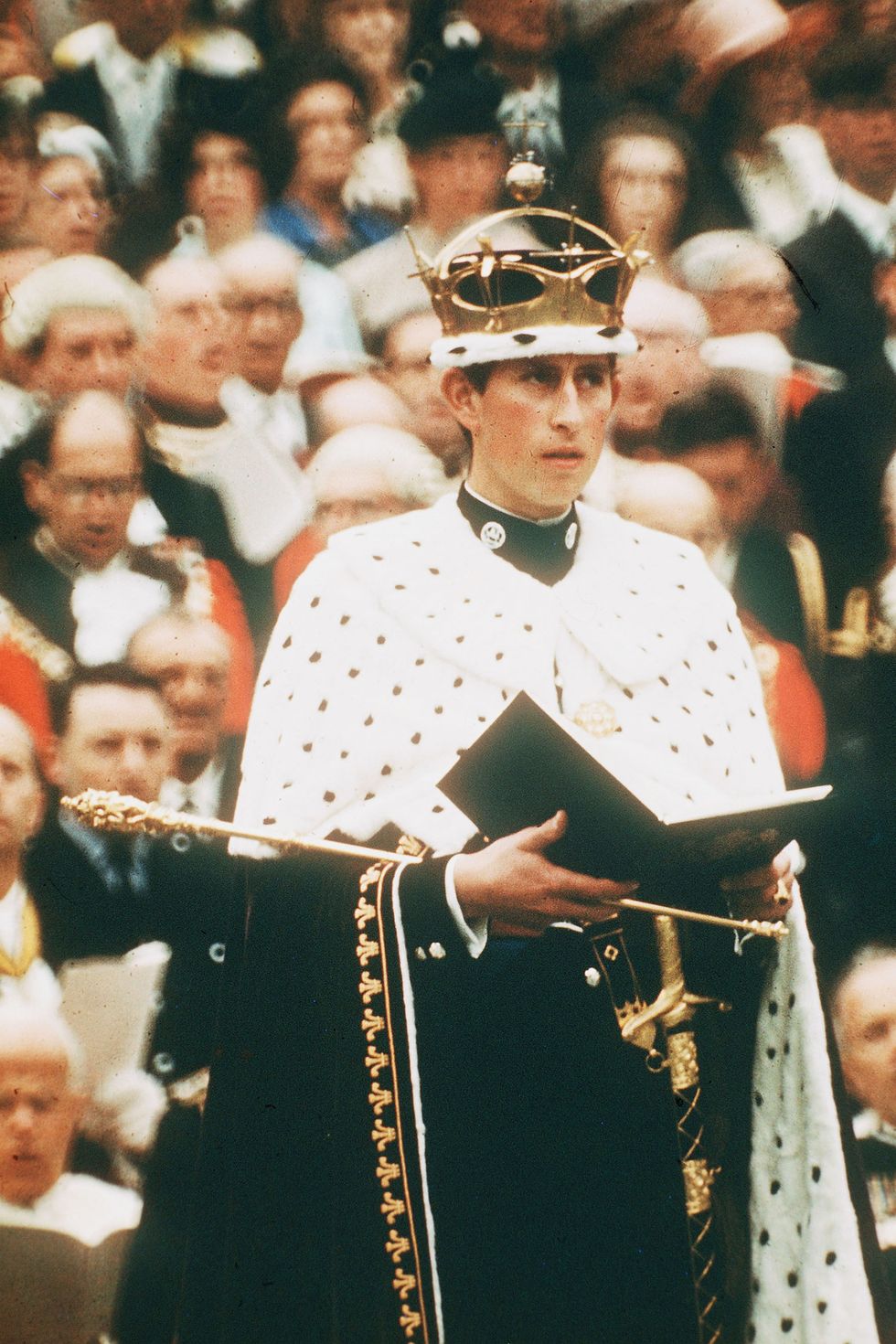 Photo Gallery of King Charles' Life - leurr