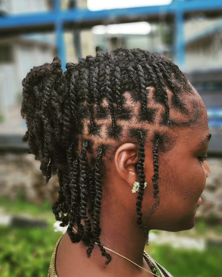 What Are Mini Twists, And How To Create The Protective Hairstyle - leurr