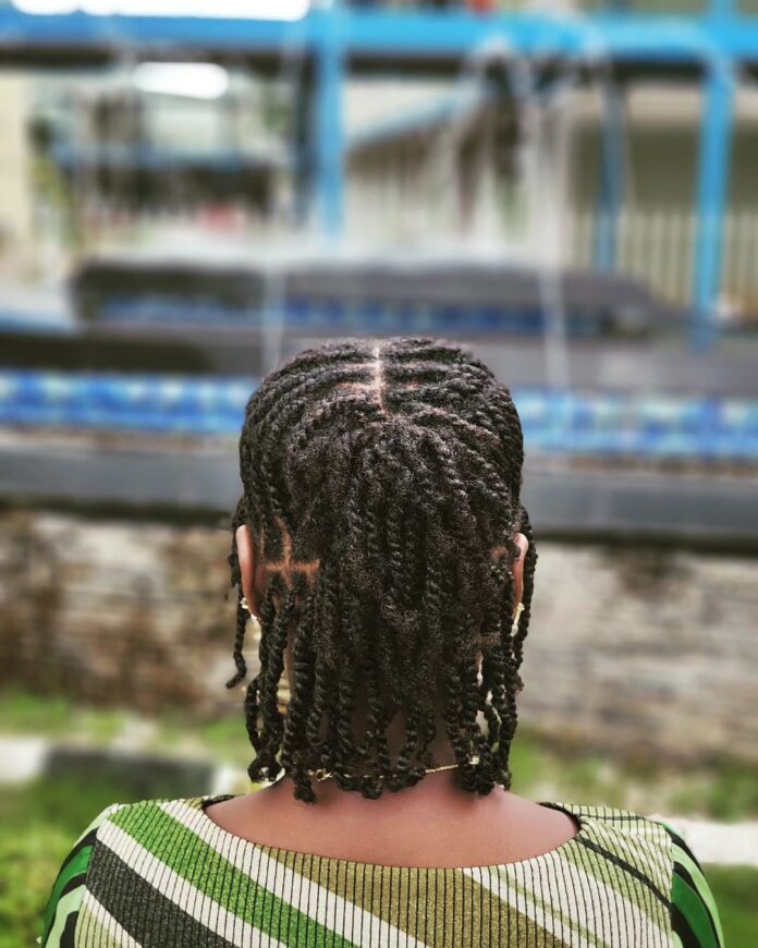 What Are Mini Twists, And How To Create The Protective Hairstyle - leurr