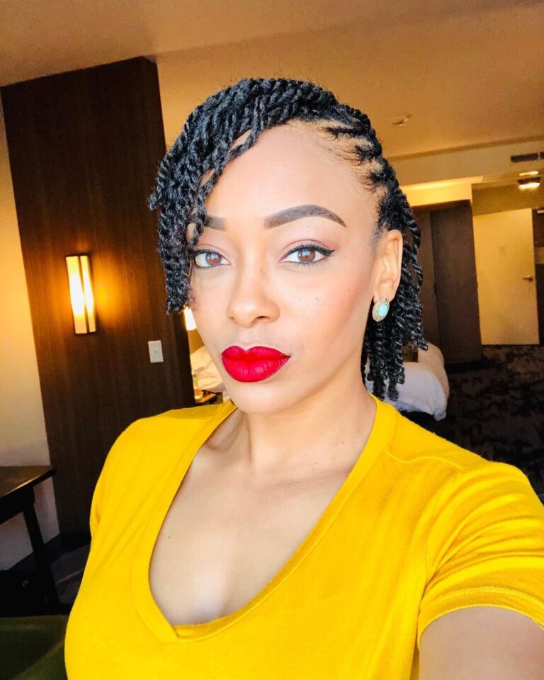 What Are Mini Twists, And How To Create The Protective Hairstyle - leurr